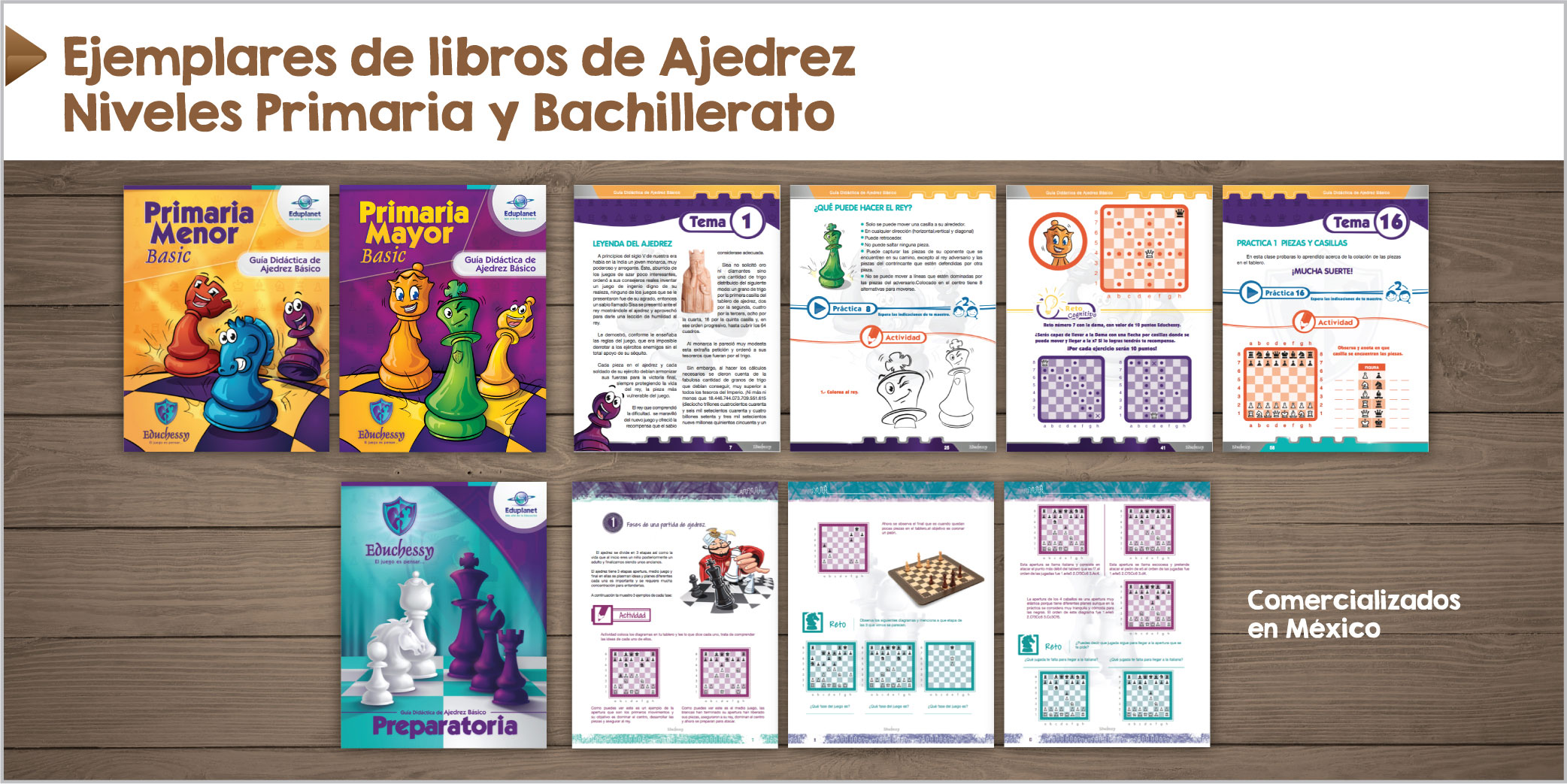 Editorial Educativo | Imacorp